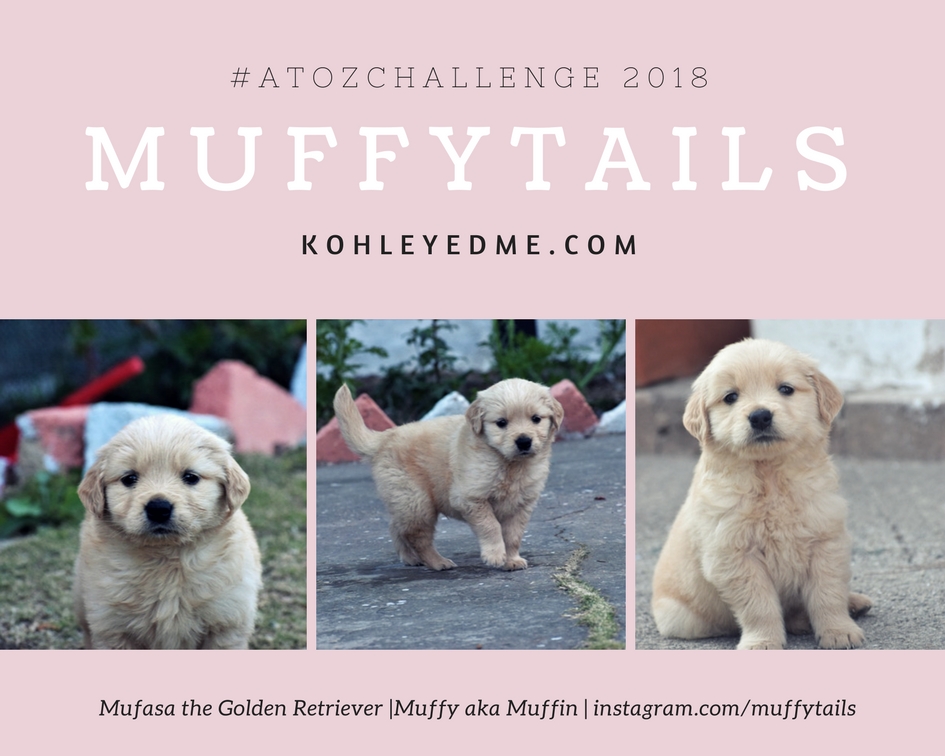 Muffy Tails | A to Z of Being a Man's Best Friend
