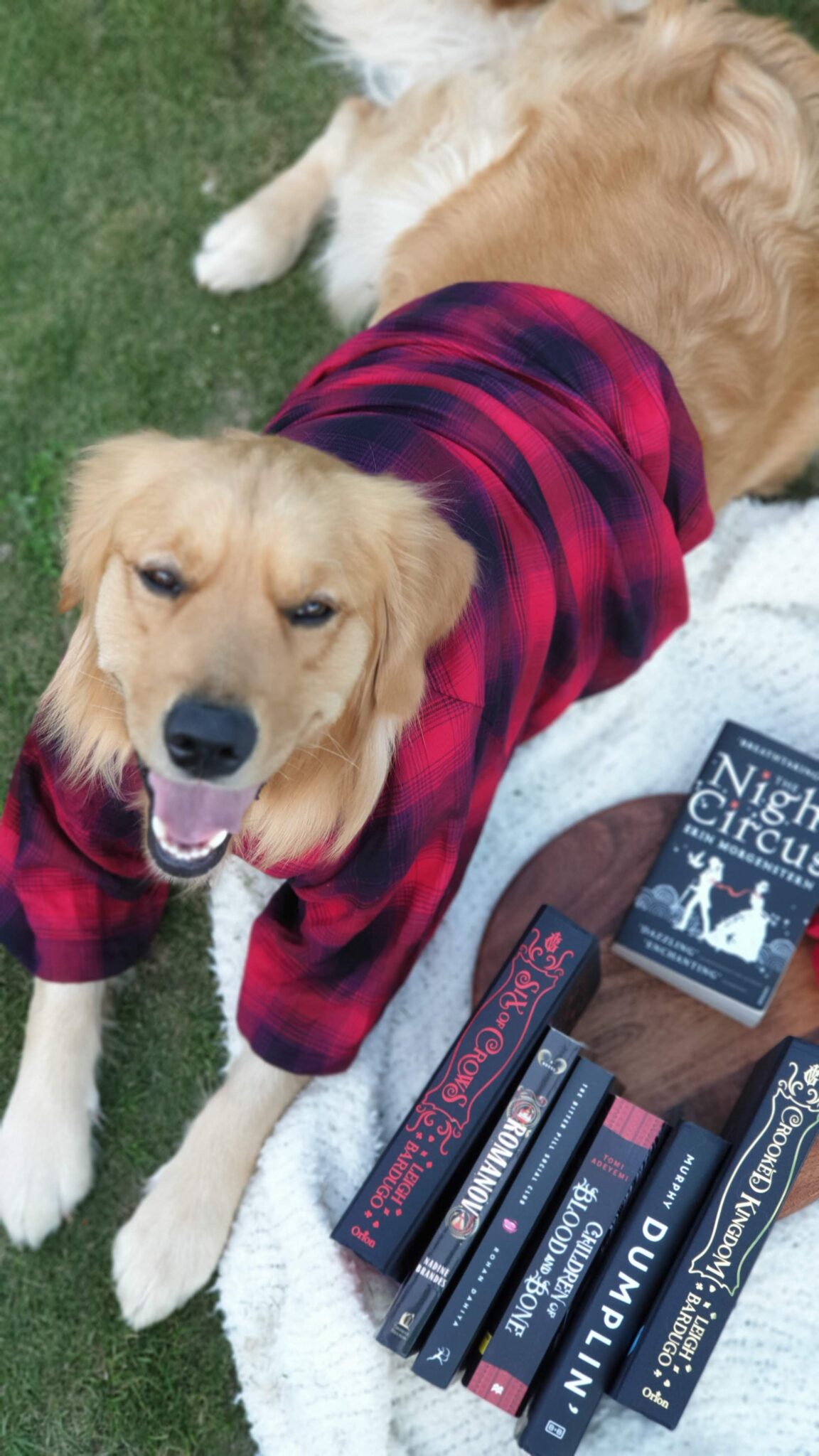 What Should I Read Next? 12 Fun and Easy Ways to Choose Your Next Book ...
